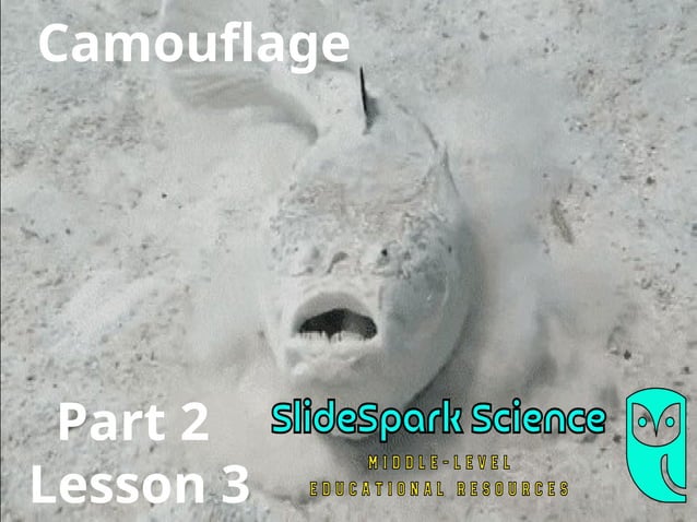 Camouflage Lesson for Middle School Science, Interactive Slideshow ...