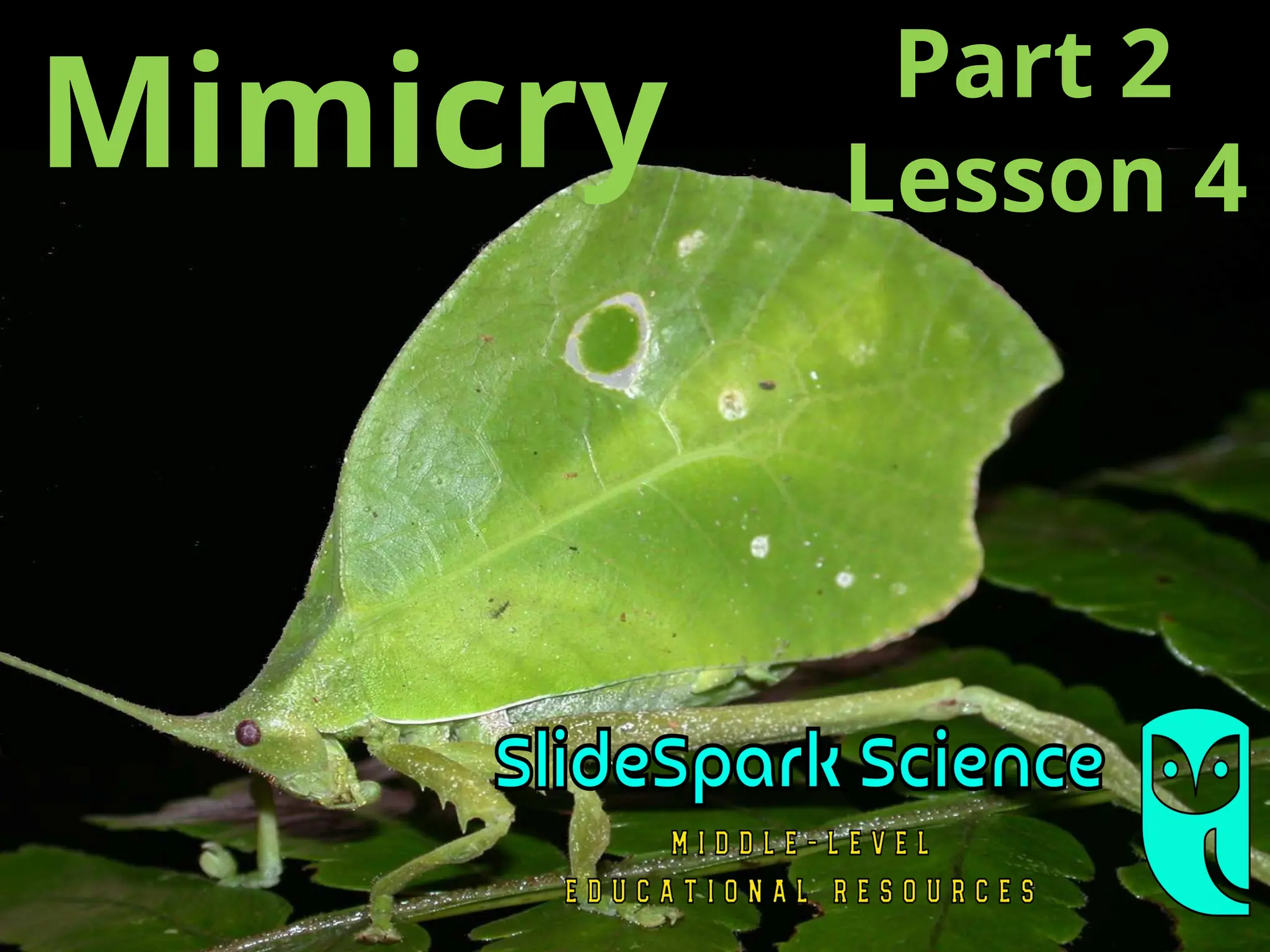Mimicry Lesson from the Ecology Interactions Unit, Types of Mimicry ...