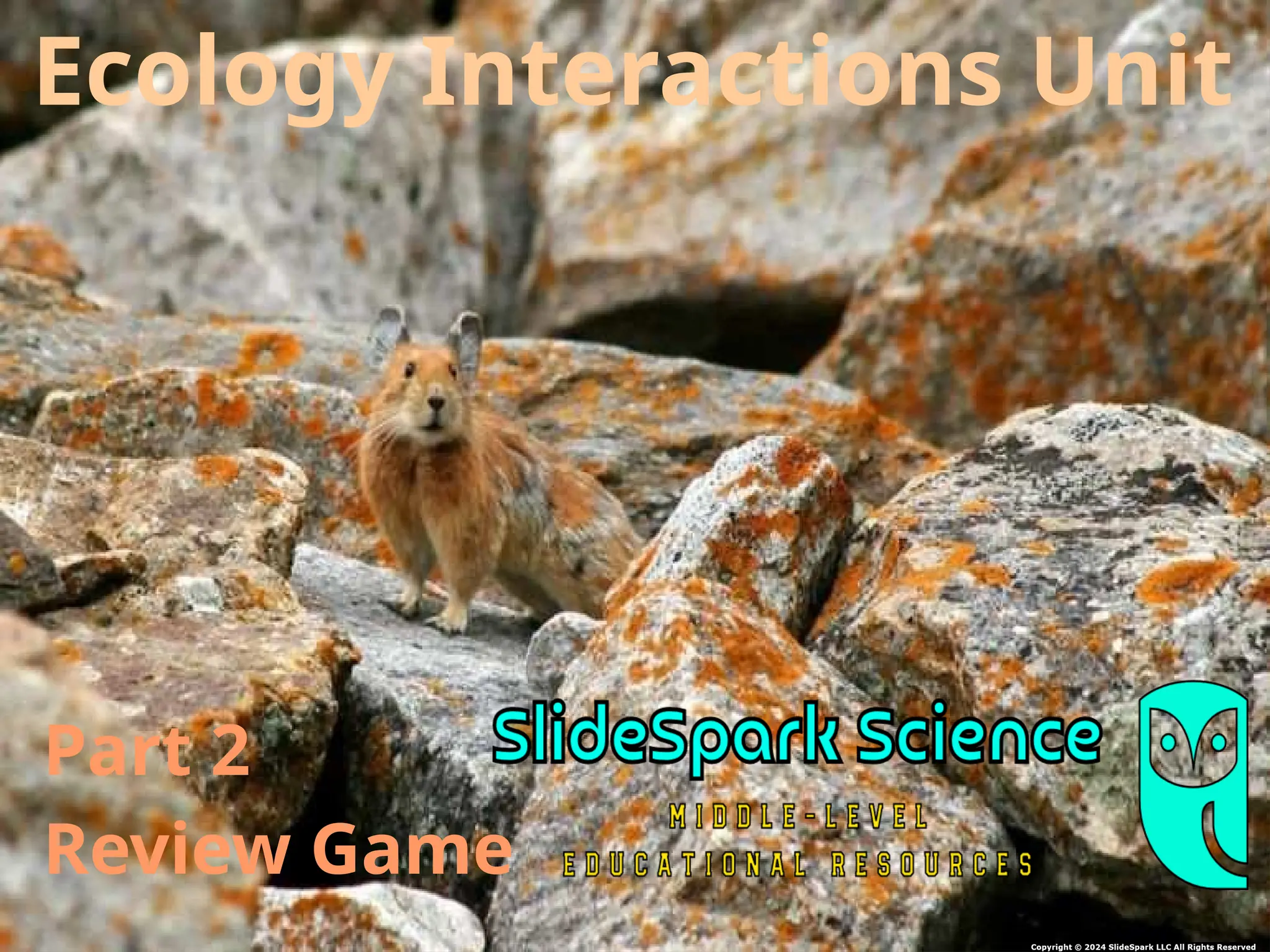 Ecology Interactions Quiz Game, Biodiversity, Camouflage, Mimicry ...