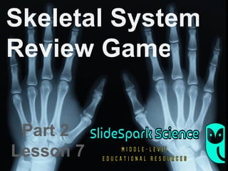 Skeletal System Quiz Game, Skeletal System Lesson for Middle School ...