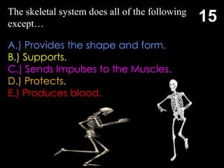 Skeletal System Quiz Game, Skeletal System Lesson for Middle School ...