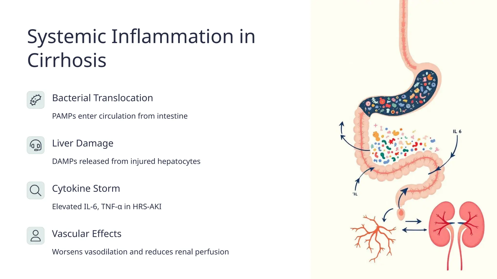 [Part 2]Liver-Cirrhosis-Pathophysiology-and-Hepatorenal-Syndrome.pptx