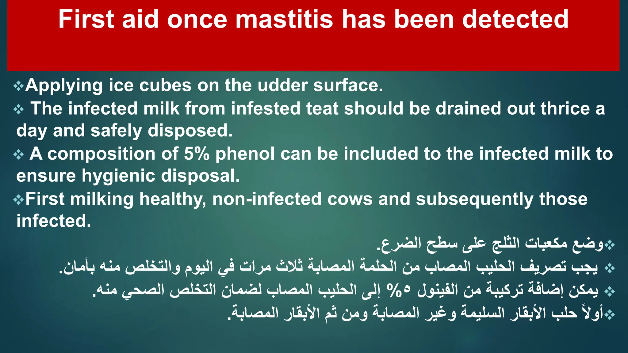 Part 2 Main Line of Treatment of Mastitis in Farm Animals Prof Dr Hamed ...