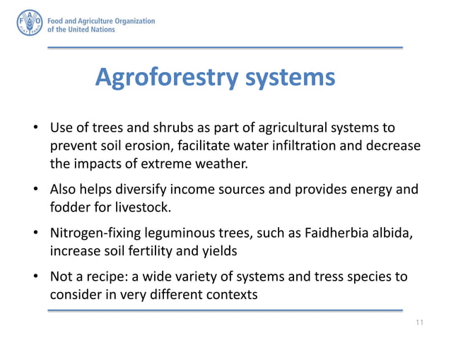 Integration of agricultural subsectors – introduction and examples | PDF