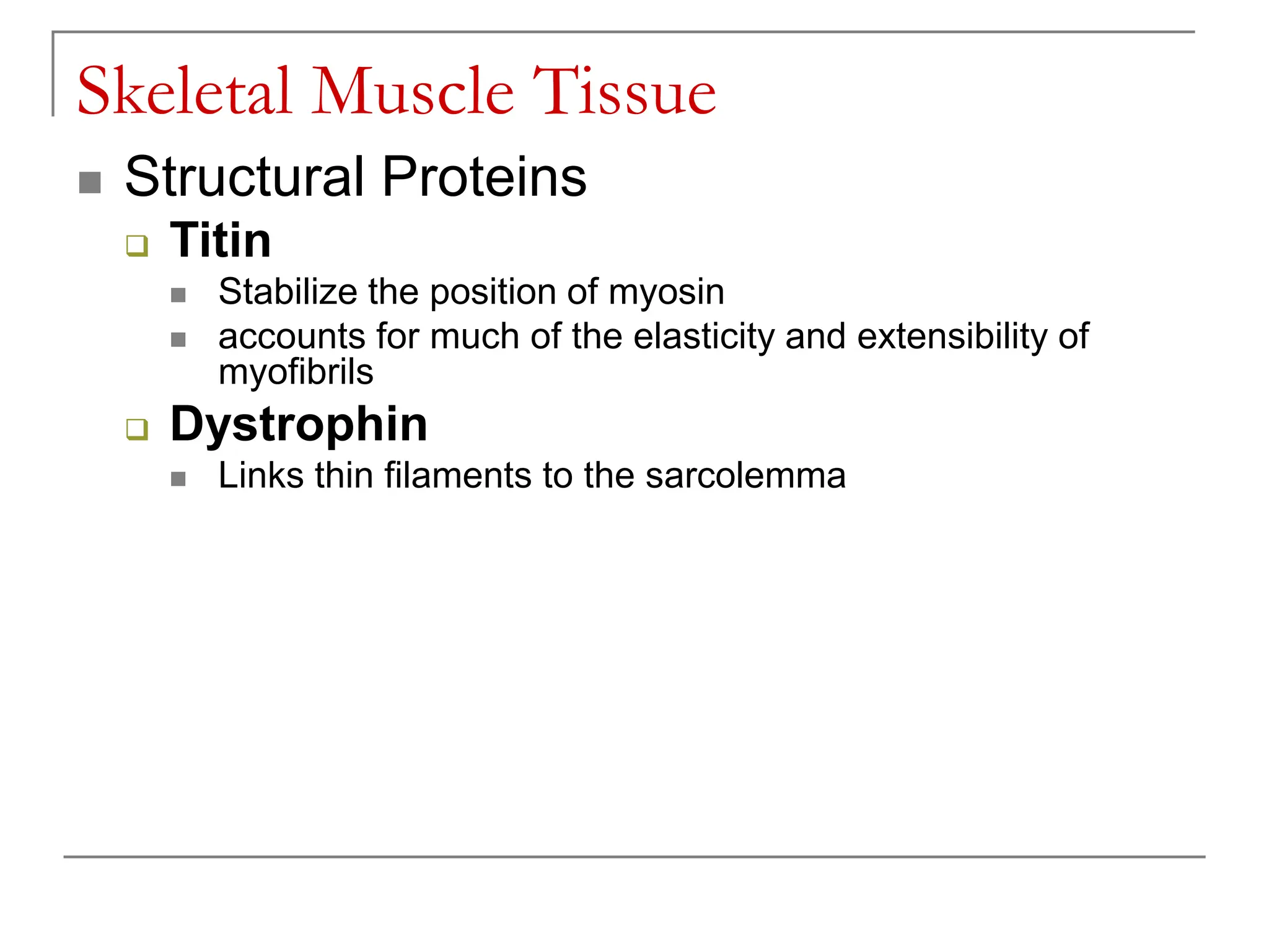 Part 2 Muscle physiology ppt explained in detail | PPT