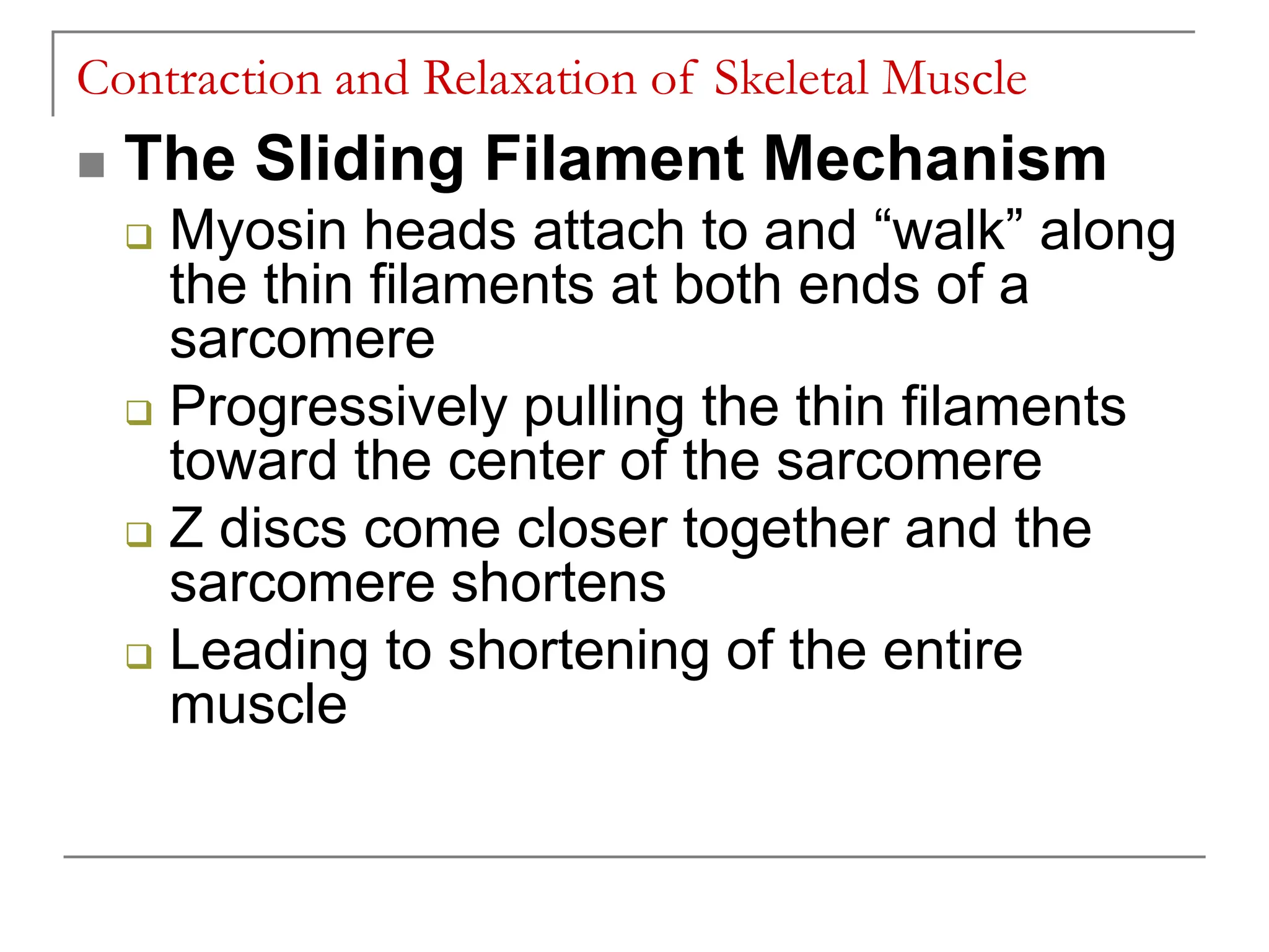 Part 2 Muscle physiology ppt explained in detail | PPT