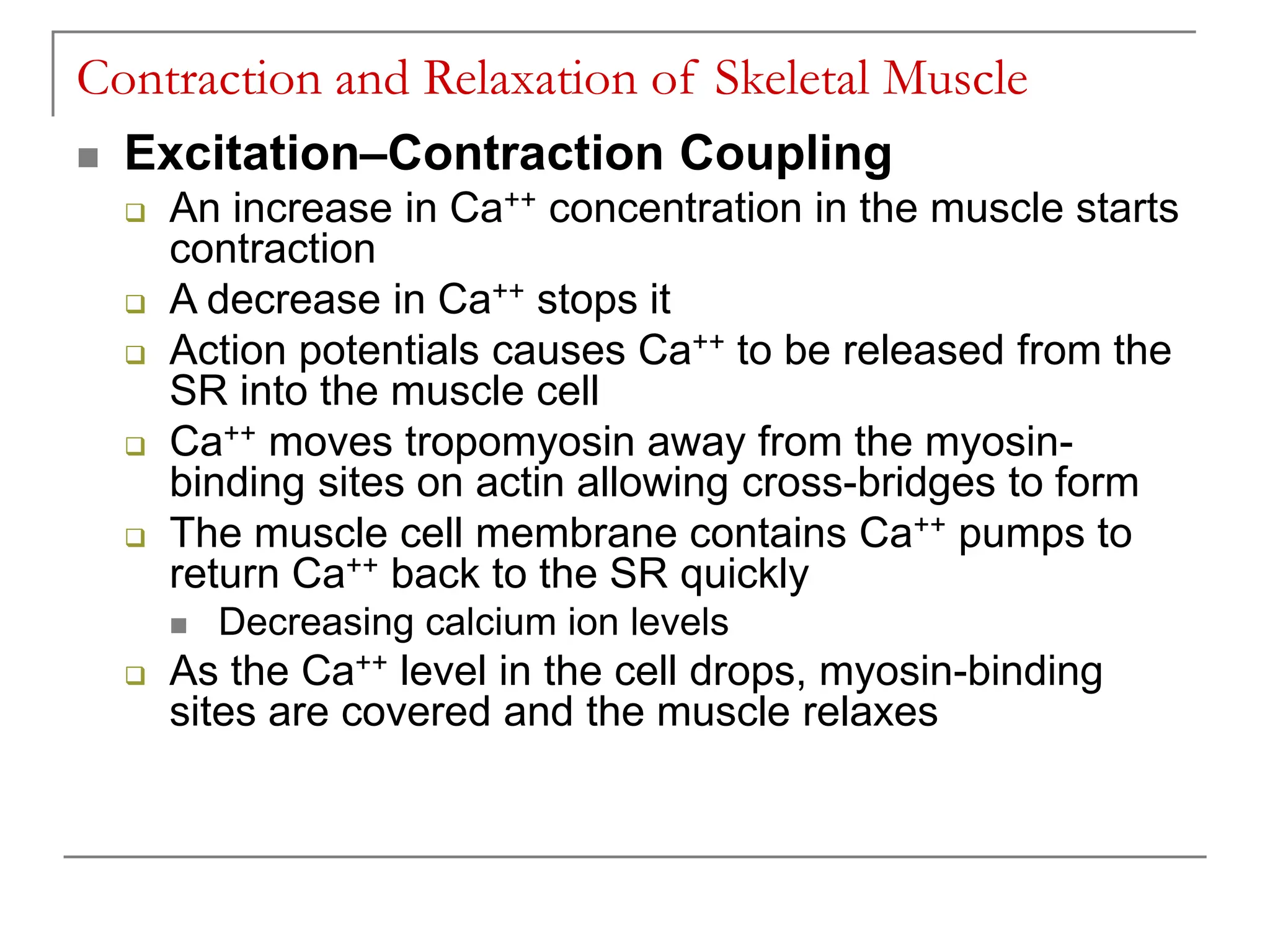 Part 2 Muscle physiology ppt explained in detail | PPT