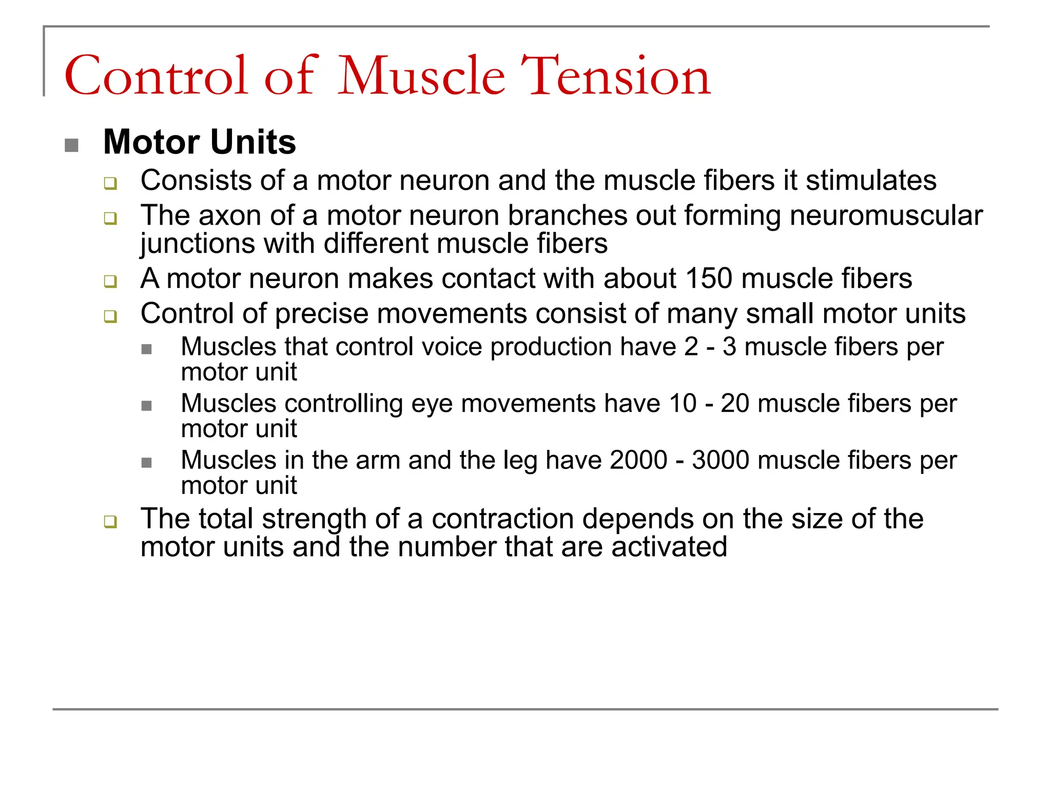 Part 2 Muscle physiology ppt explained in detail | PPT