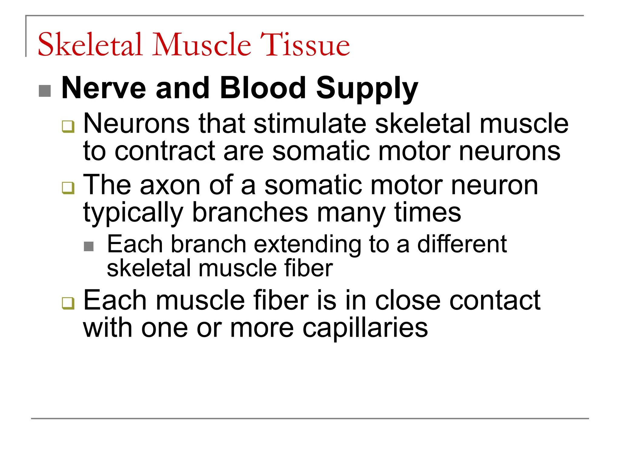 Part 2 Muscle physiology ppt explained in detail | PPT