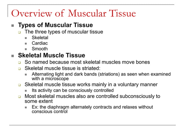 Part 2 Muscle physiology ppt explained in detail | PPT