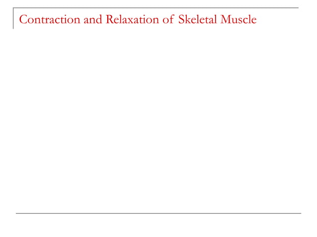 Part 2 Muscle physiology ppt explained in detail | PPT