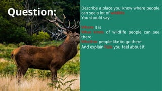 part 2 see wildlife for IELTS speaking test. | PPTX