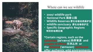 part 2 see wildlife for IELTS speaking test. | PPTX