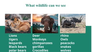 part 2 see wildlife for IELTS speaking test. | PPTX