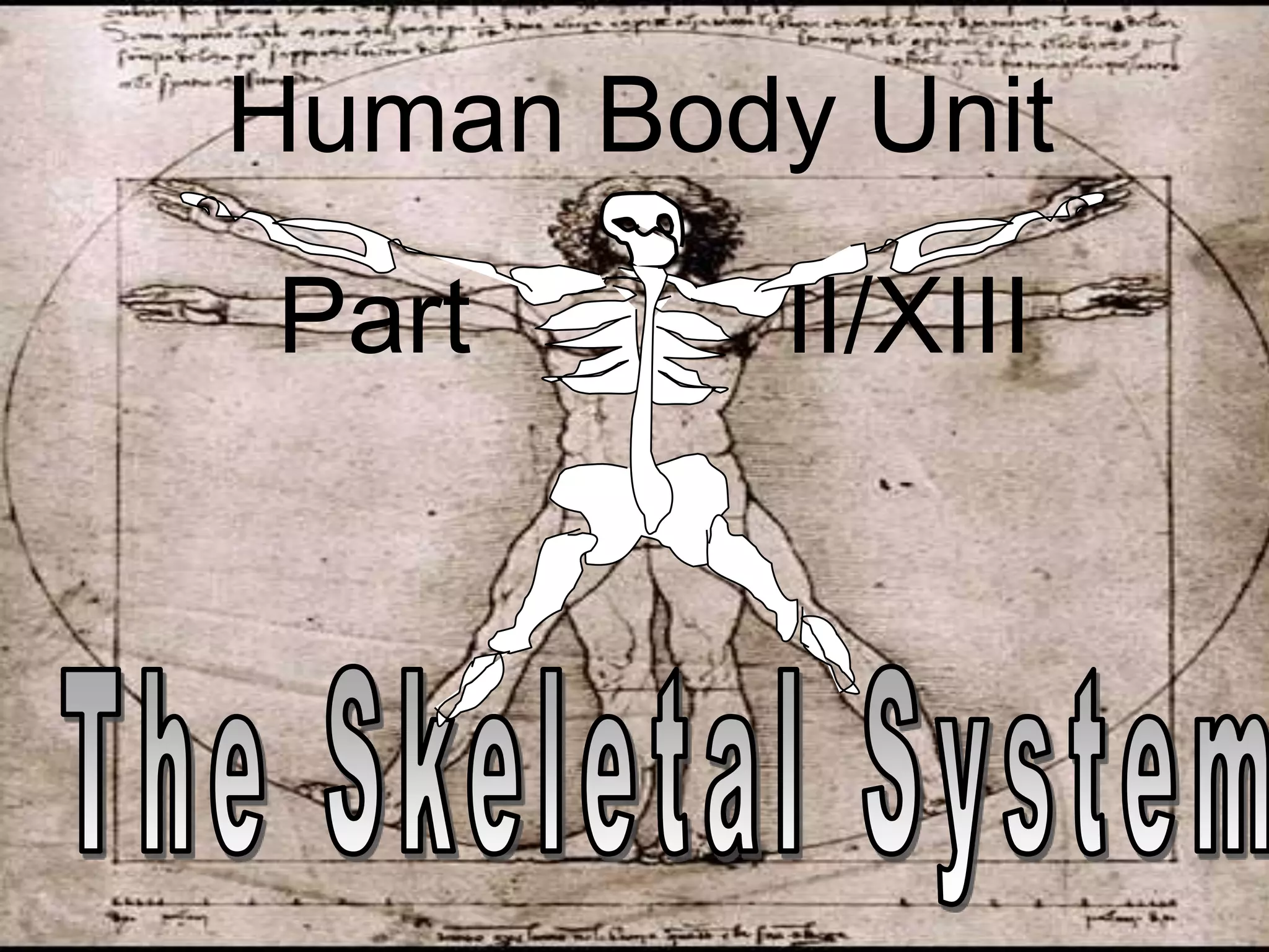 Skeletal System Unit PowerPoint, Bones, Human Body, Skeleton Lesson | PPT