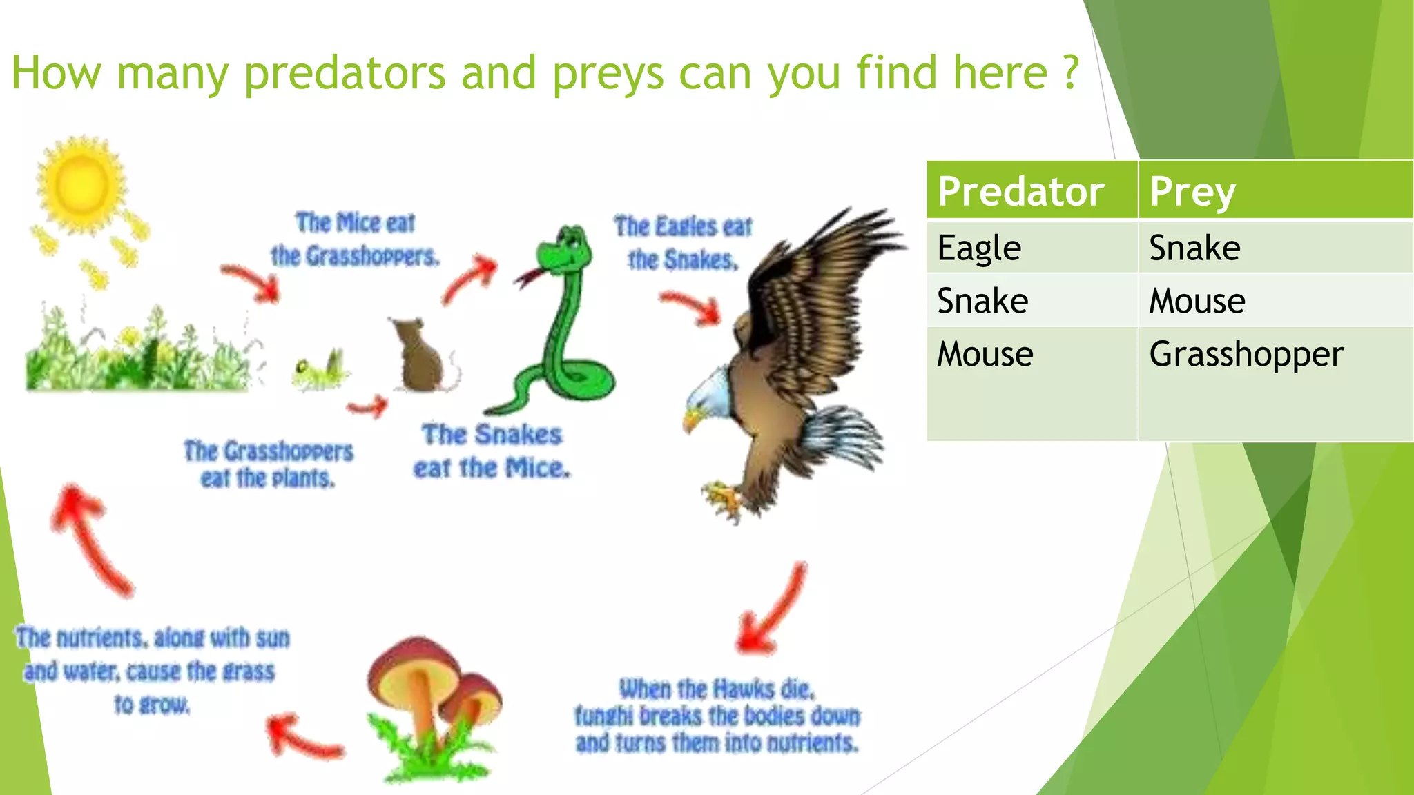 "How living things interact?" Part 2 | PPT