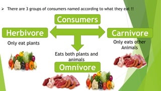 "How living things interact?" Part 2 | PPT