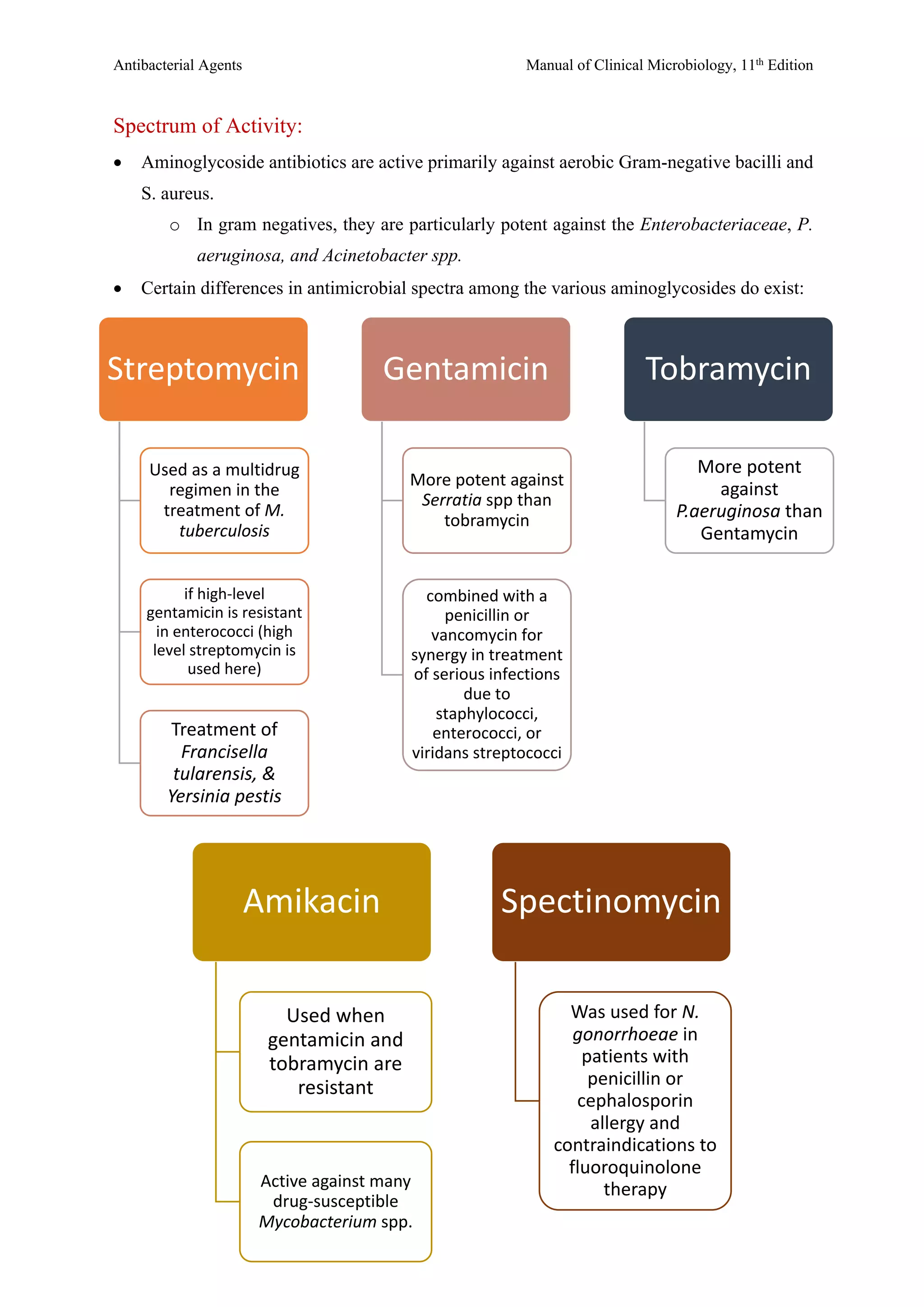 Protein Synthesis Inhibitors Antibiotics | PDF