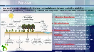 CBSE-Class 11 - Chemistry -Chapter 14-Environmental Chemistry | PPTX