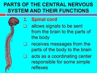 Part 3 - Nervous System_ Spinal Cord and Reflex Actions.pdf