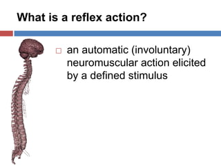 Part 3 - Nervous System_ Spinal Cord and Reflex Actions.pdf
