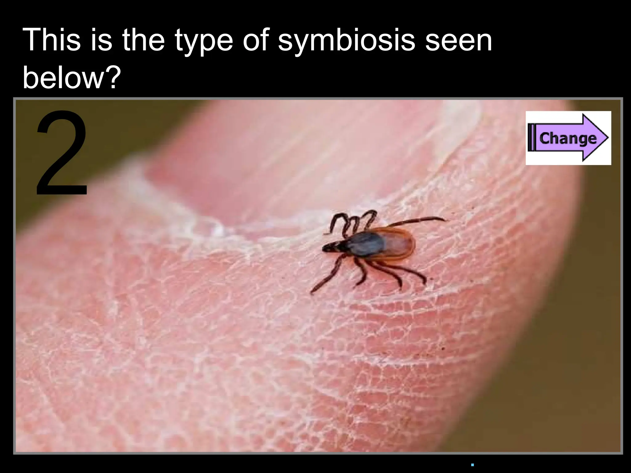 Symbiosis, Types of Symbiosis, Mutualism, Parasitism, Commensalism Quiz ...