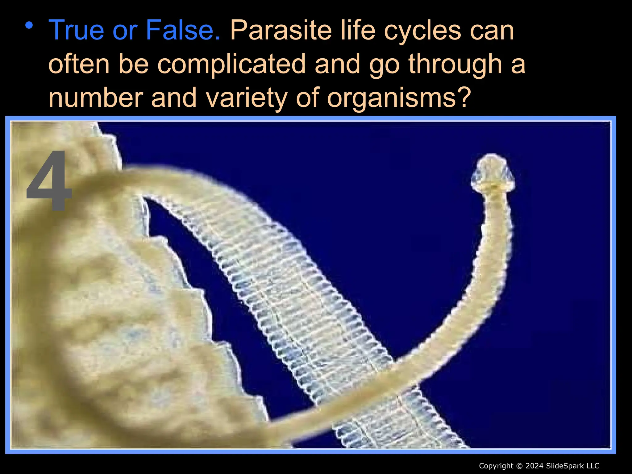 Symbiosis, Types of Symbiosis, Mutualism, Parasitism, Commensalism Quiz ...