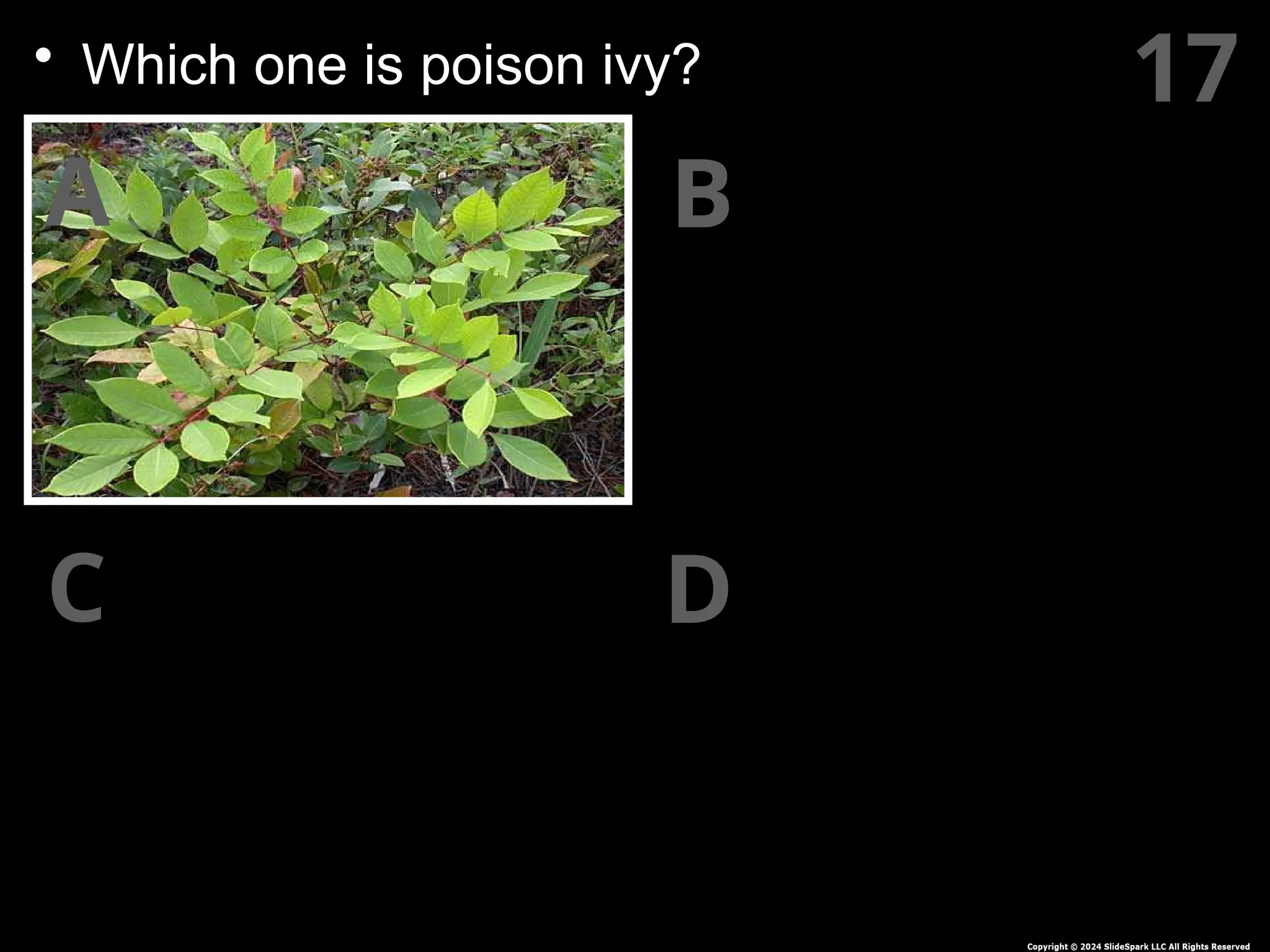 Symbiosis, Types of Symbiosis, Mutualism, Parasitism, Commensalism Quiz ...