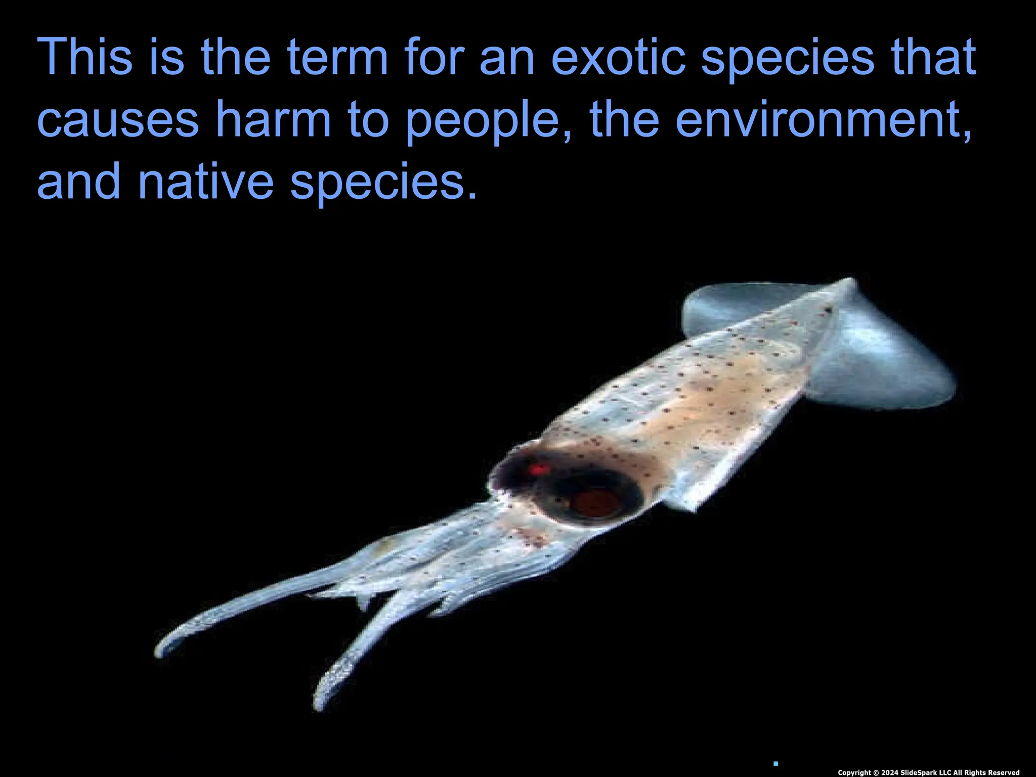 Symbiosis, Types of Symbiosis, Mutualism, Parasitism, Commensalism Quiz ...