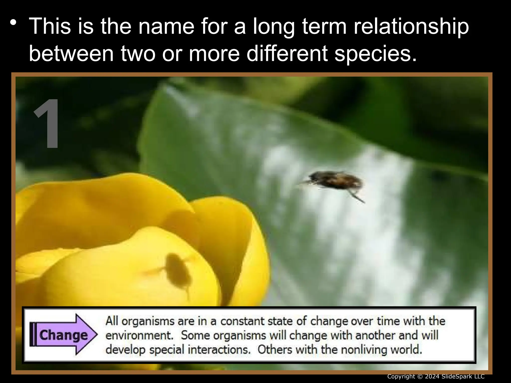Symbiosis, Types of Symbiosis, Mutualism, Parasitism, Commensalism Quiz ...