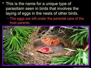 Symbiosis, Types of Symbiosis, Mutualism, Parasitism, Commensalism Quiz ...