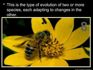 Symbiosis, Types of Symbiosis, Mutualism, Parasitism, Commensalism Quiz ...