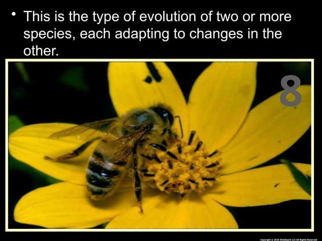 Symbiosis, Types of Symbiosis, Mutualism, Parasitism, Commensalism Quiz ...