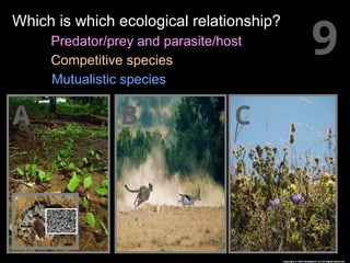 Symbiosis, Types of Symbiosis, Mutualism, Parasitism, Commensalism Quiz ...