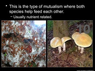 Symbiosis, Types of Symbiosis, Mutualism, Parasitism, Commensalism Quiz ...