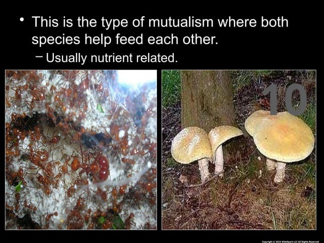 Symbiosis, Types of Symbiosis, Mutualism, Parasitism, Commensalism Quiz ...