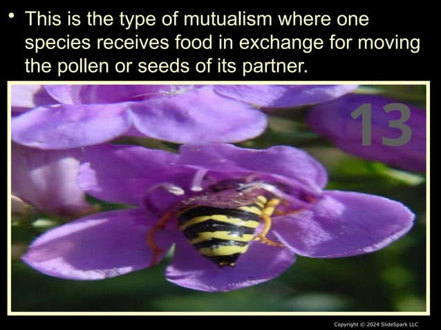 Symbiosis, Types of Symbiosis, Mutualism, Parasitism, Commensalism Quiz ...