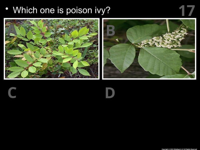 Symbiosis, Types of Symbiosis, Mutualism, Parasitism, Commensalism Quiz ...