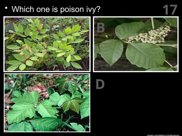 Symbiosis, Types of Symbiosis, Mutualism, Parasitism, Commensalism Quiz ...