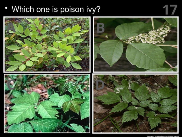 Symbiosis, Types of Symbiosis, Mutualism, Parasitism, Commensalism Quiz ...