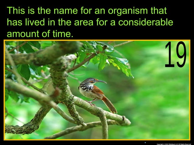 Symbiosis, Types of Symbiosis, Mutualism, Parasitism, Commensalism Quiz ...