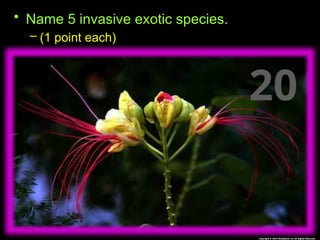 Symbiosis, Types of Symbiosis, Mutualism, Parasitism, Commensalism Quiz ...