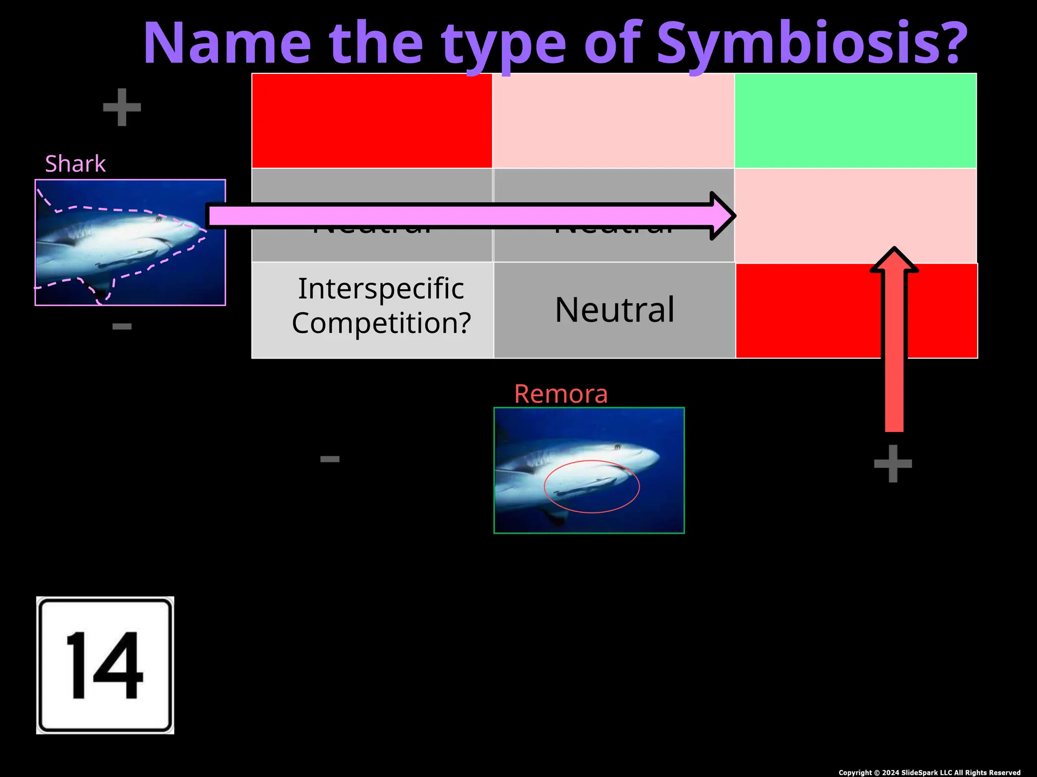 Ecology Interactions Quiz Answer Version, Types of Symbiosis Quiz ...