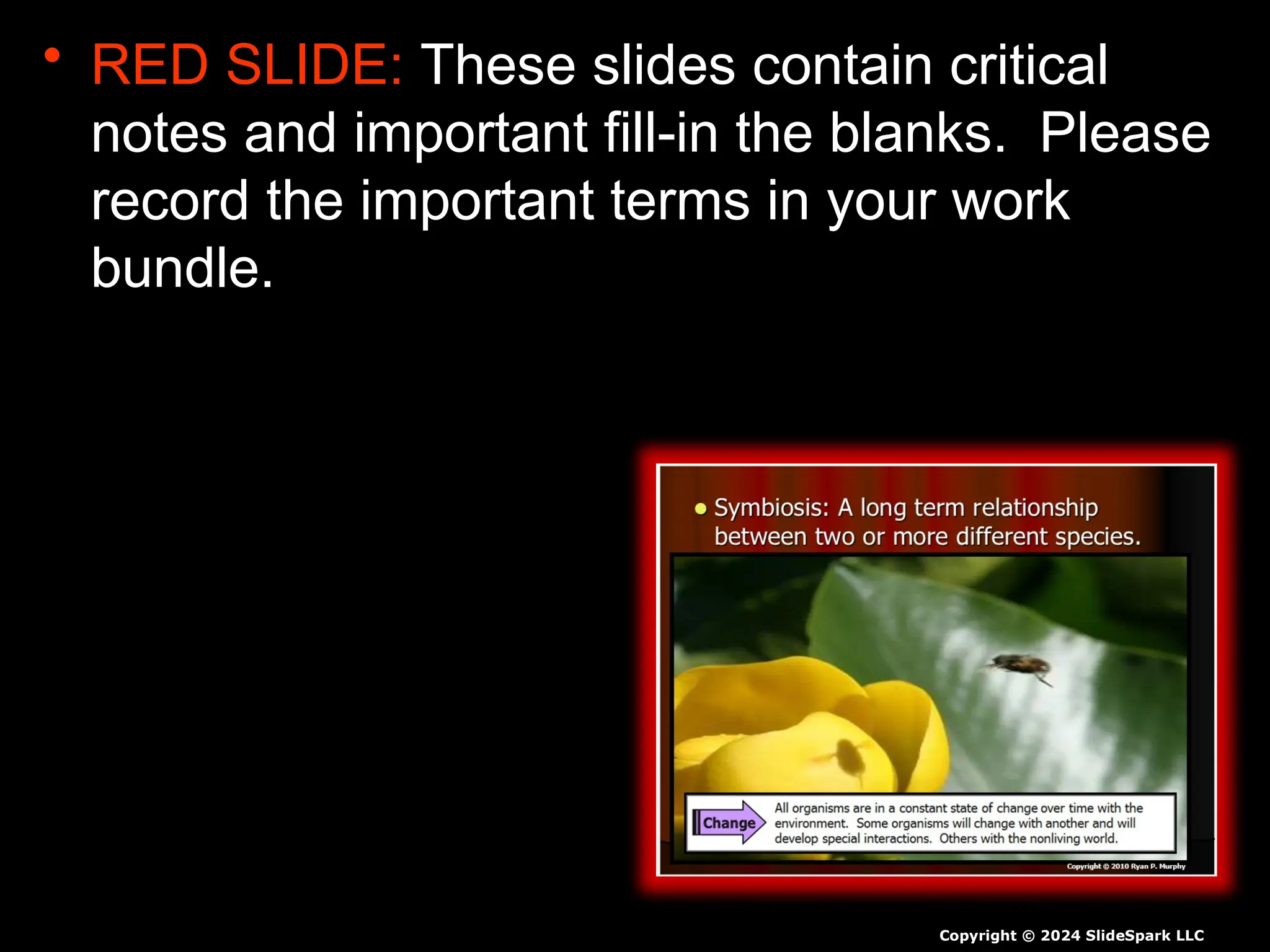 Symbiosis Lesson, Mutualism, Types of Mutualisms, Science Lesson from ...