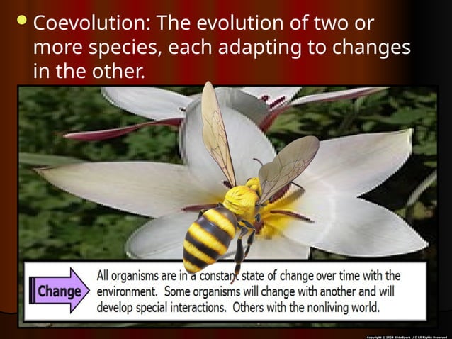 Symbiosis Lesson, Mutualism, Types of Mutualisms, Science Lesson from ...