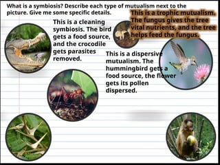Symbiosis Lesson, Mutualism, Types of Mutualisms, Science Lesson from ...