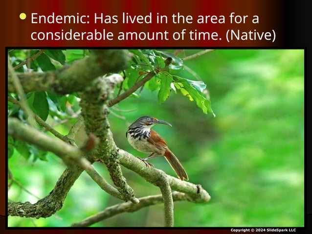 Invasive Exotic Species Lesson, Middle School Science Lesson from ...