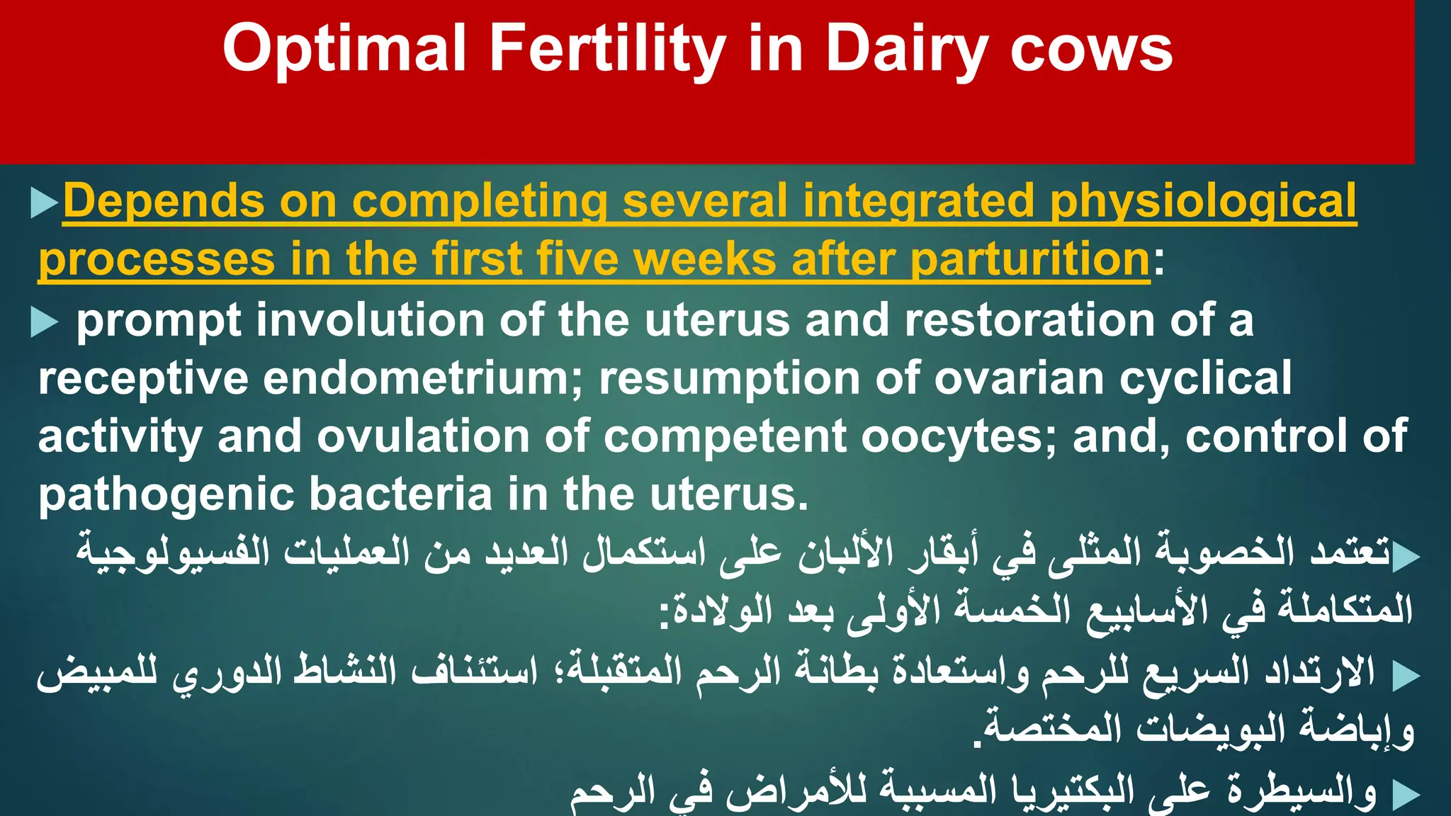 Part 3 Postpartum Metritis in Farm Animals(Causes- Signs and Main Line ...
