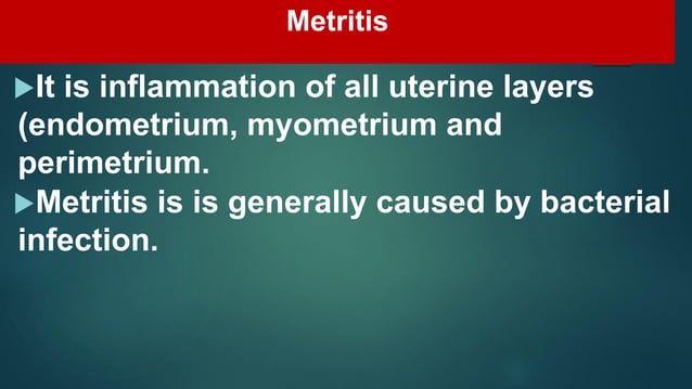 Part 3 Postpartum Metritis in Farm Animals(Causes- Signs and Main Line ...