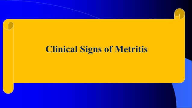 Part 3 Postpartum Metritis in Farm Animals(Causes- Signs and Main Line ...